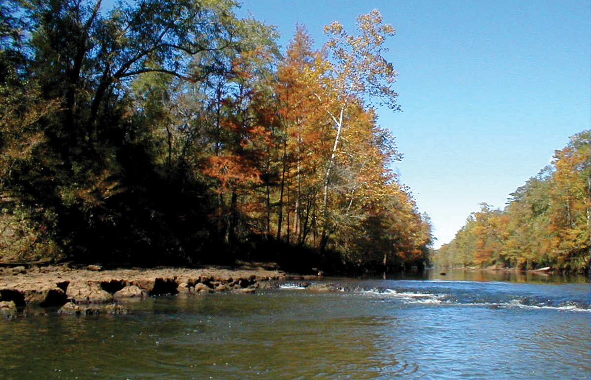 Spotlight on Coastal Gateway